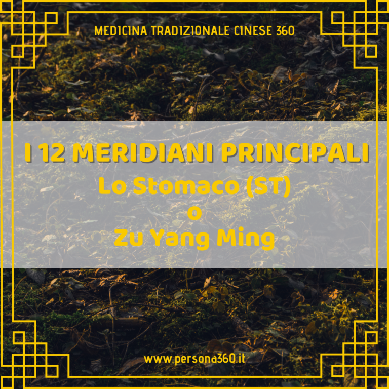 I 12 MERIDIANI PRINCIPALI: Lo Stomaco (ST) o Zu Yang Ming - Persona 360