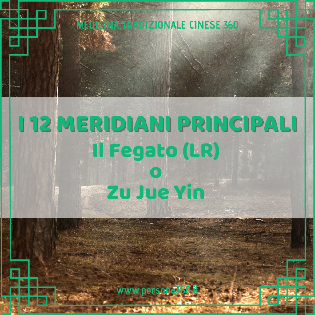 I DODICI MERIDIANI PRINCIPALI: Il fegato (LR) o Zu Jue Yin - Persona 360