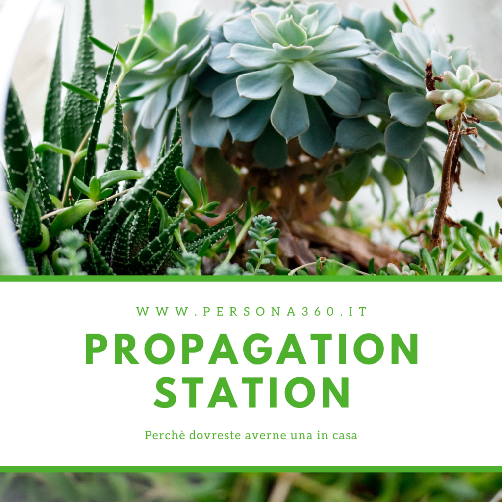 Propagation Station: perché dovreste averne una - Persona 360